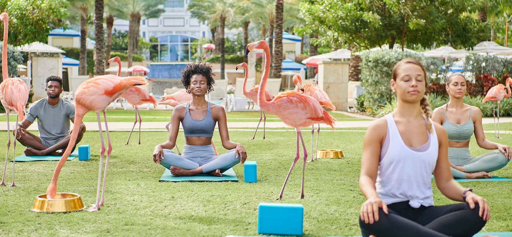 Paramount Passport to Paradise - 2023 Baha Mar